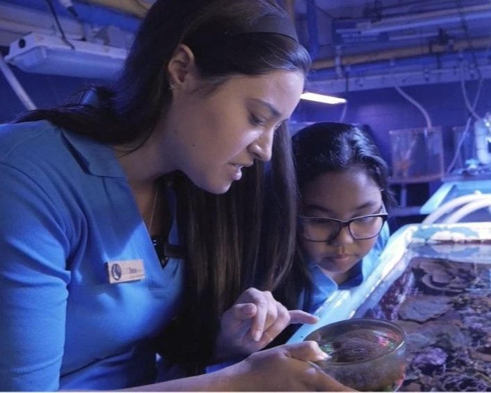 Kaimana Conservation