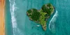 8 Reasons We Love the Ocean — Kaimana Conservation