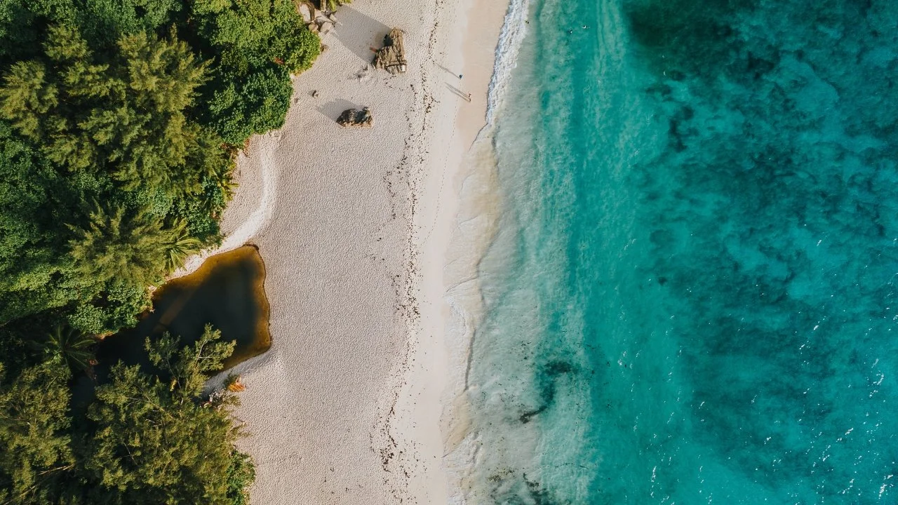 Dive into a World of Ocean Careers — Kaimana Conservation