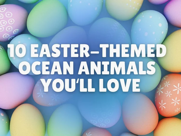 10 Easter-Themed Ocean Animals You’ll Love — Kaimana Conservation