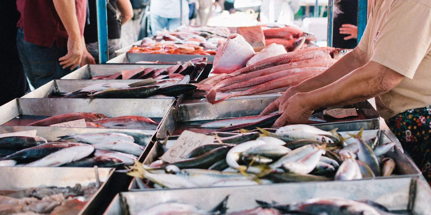 8 Reasons We Love the Ocean — Kaimana Conservation