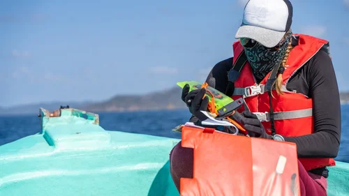 10 Exciting Careers in Marine Science (Beyond Marine Biology) — Kaimana ...