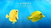 Meet The Real-Life Animals From Finding Nemo — Kaimana Conservation