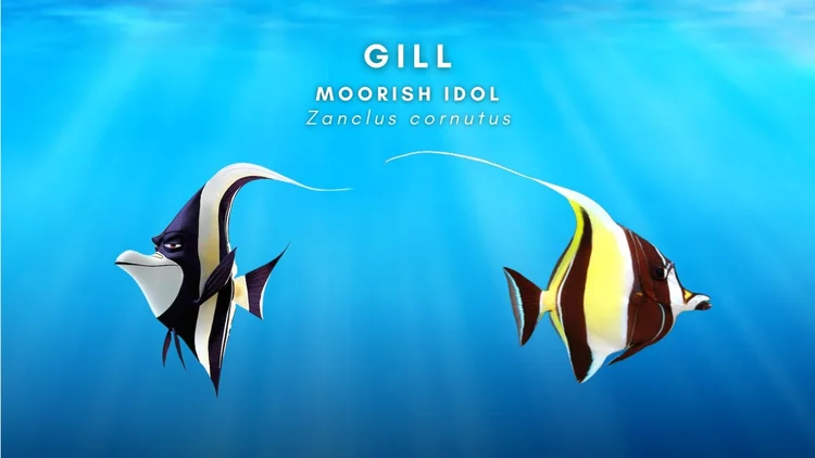 Meet The Real-Life Animals From Finding Nemo — Kaimana Conservation