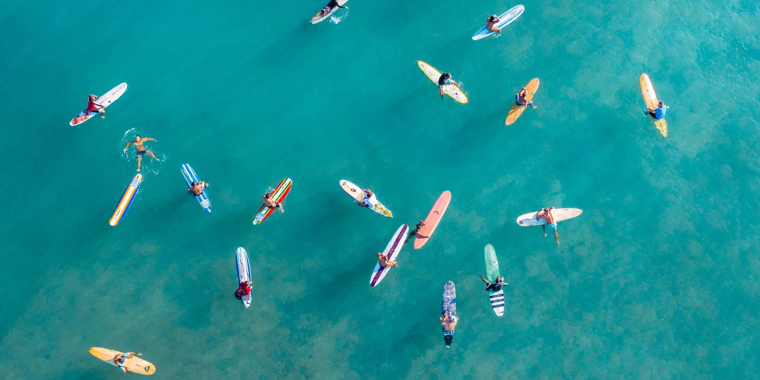 8 Reasons We Love the Ocean — Kaimana Conservation
