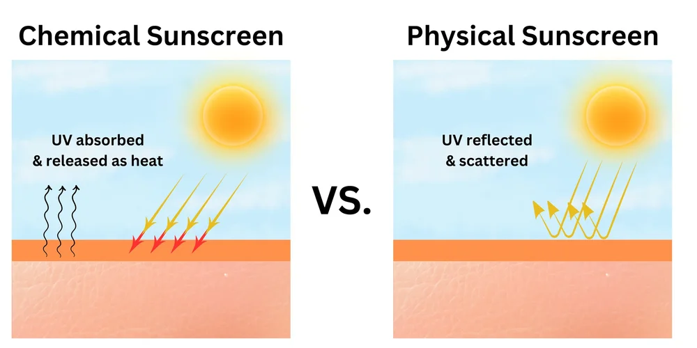 Is your sunscreen REALLY safe for the ocean? How to find reef-safe ...