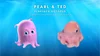 Meet The Real-Life Animals From Finding Nemo — Kaimana Conservation