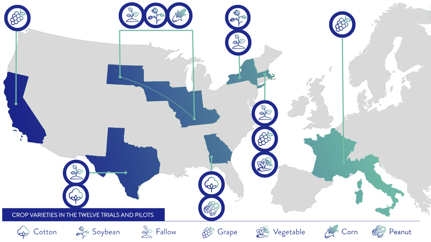 What We Do — AgZen