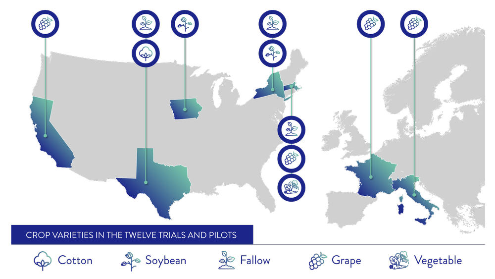 What We Do — AgZen