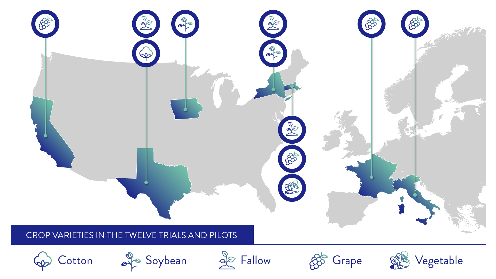 What We Do — AgZen