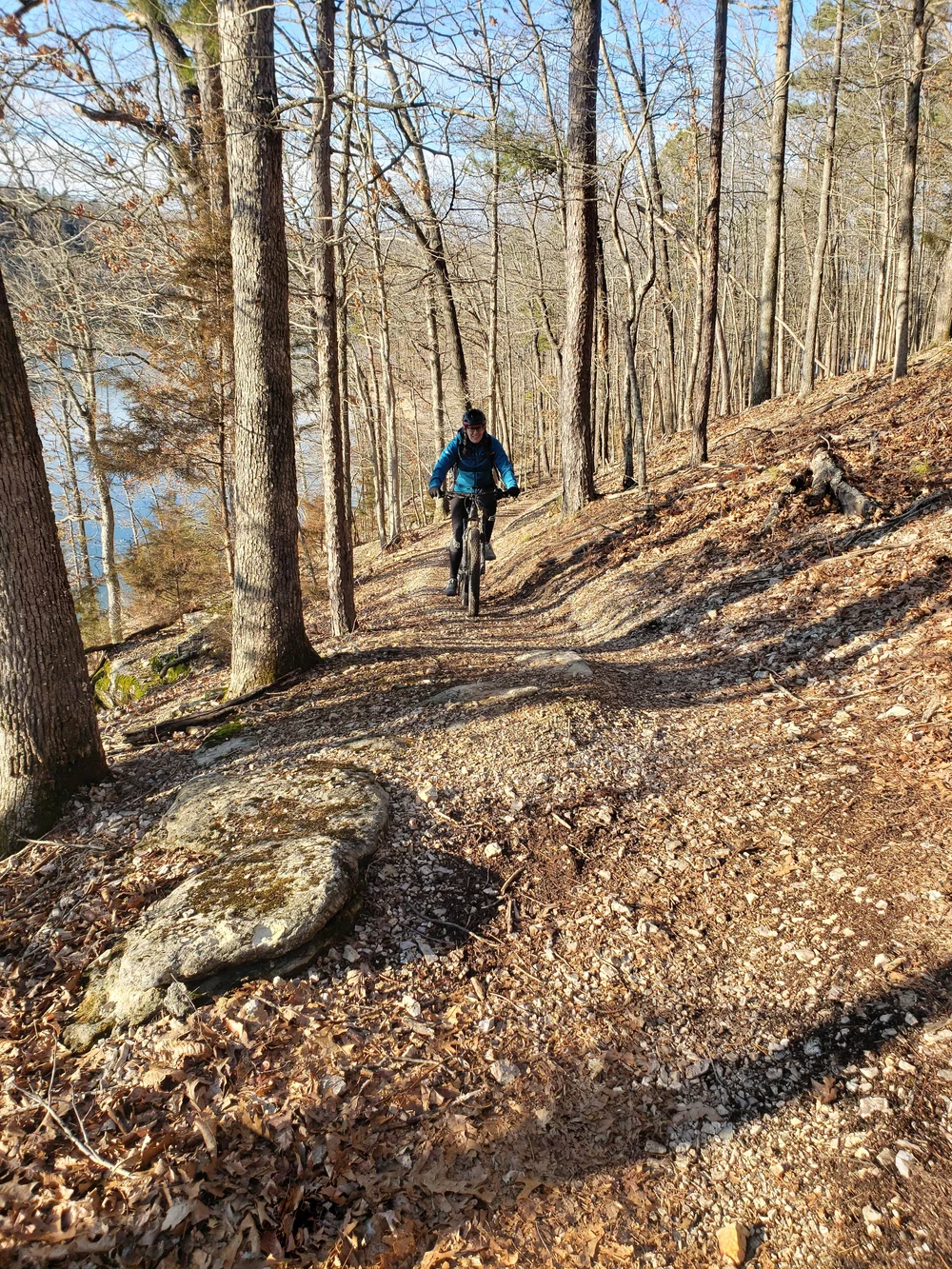 About Bike Wizard of Oz — Electric Mountain Bike Rentals