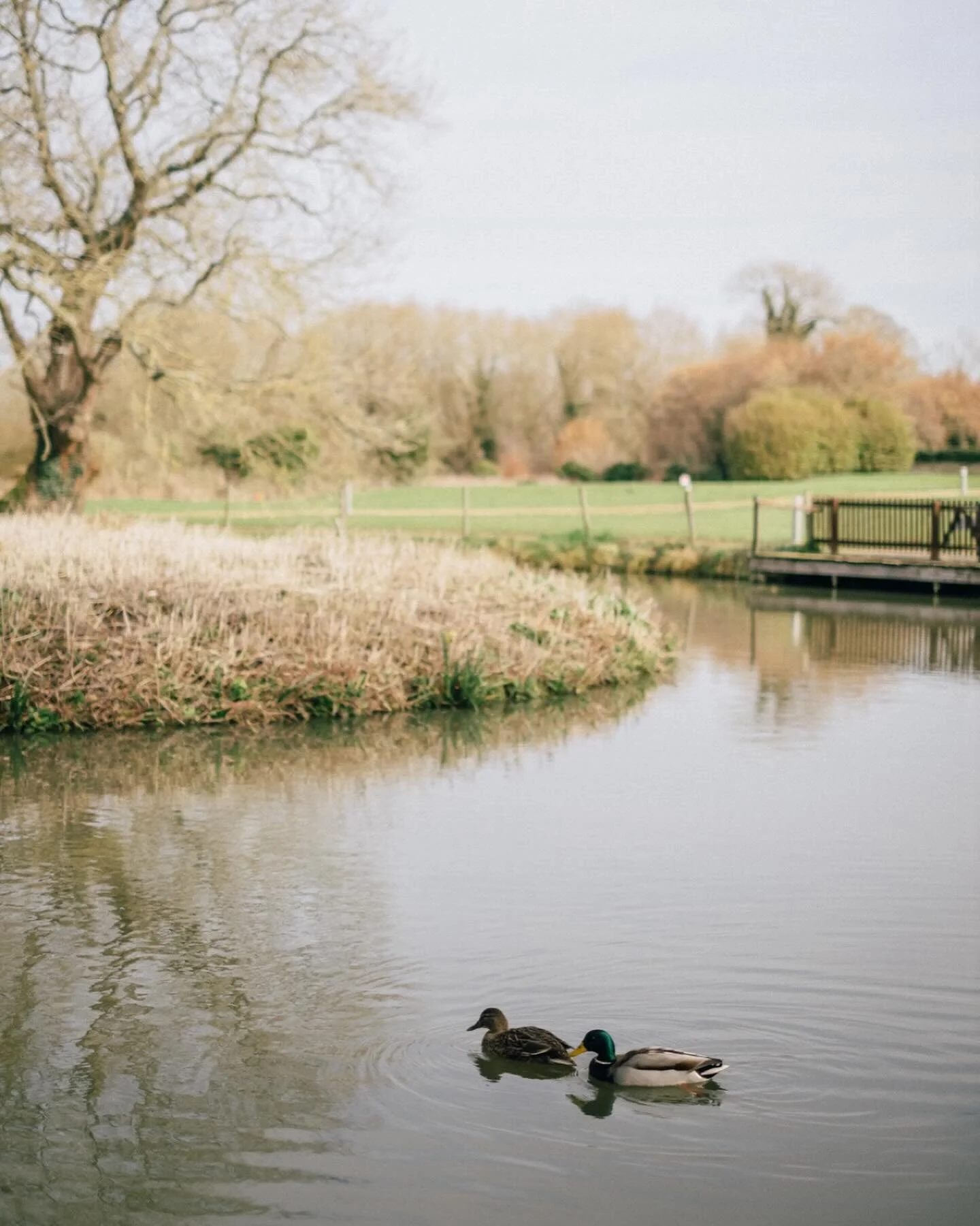 Candid Documentary Wedding Photographer Essex - Derek Anson Photography