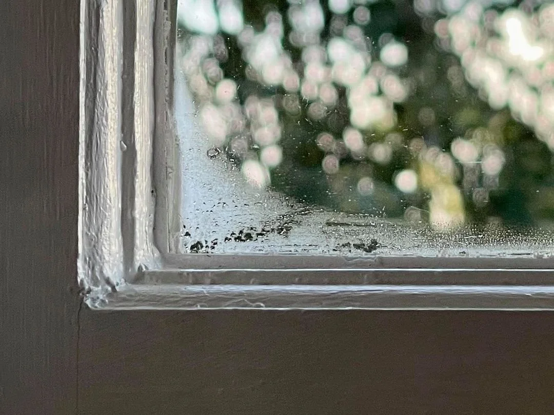 Rising Damp Vs Condensation Dampness Hull’s Premier Damp Service ...