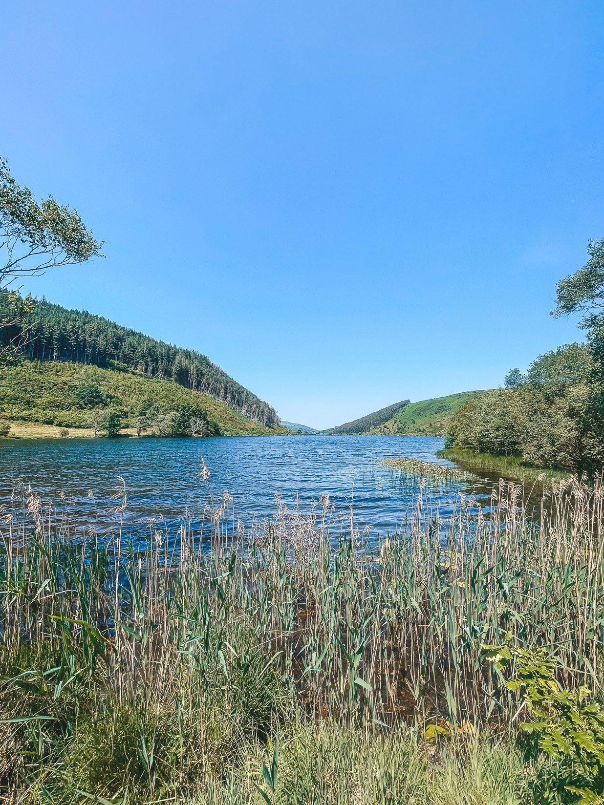 The best wild swimming spots in North Wales — Golden Mountain
