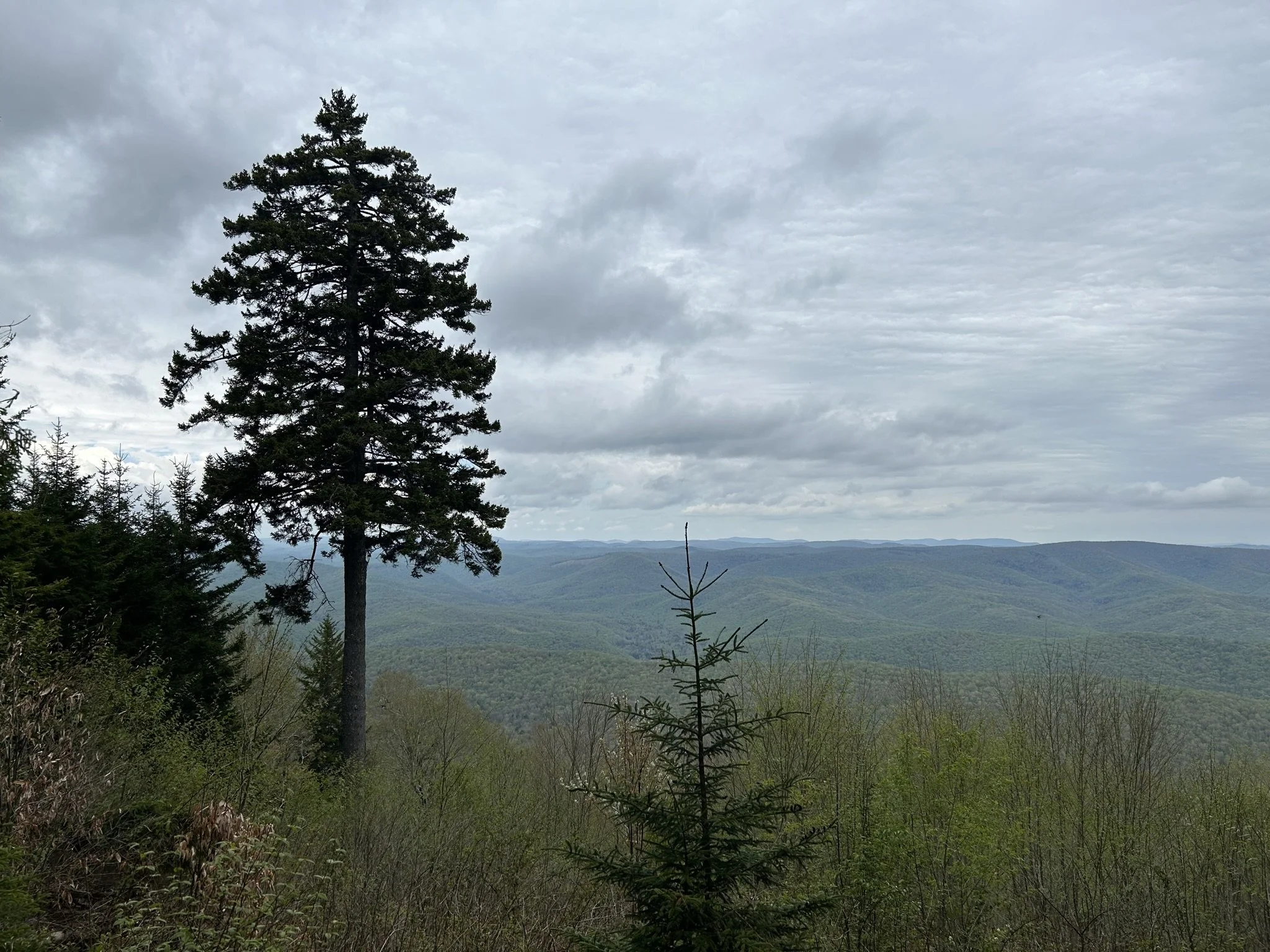 Events — West Virginia Native Plant Society