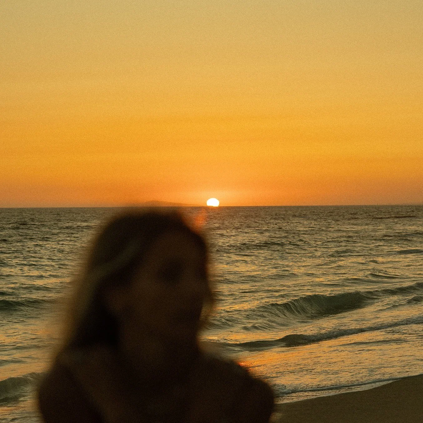 Taylor Hayden. Brand Content Creator. San Diego, CA