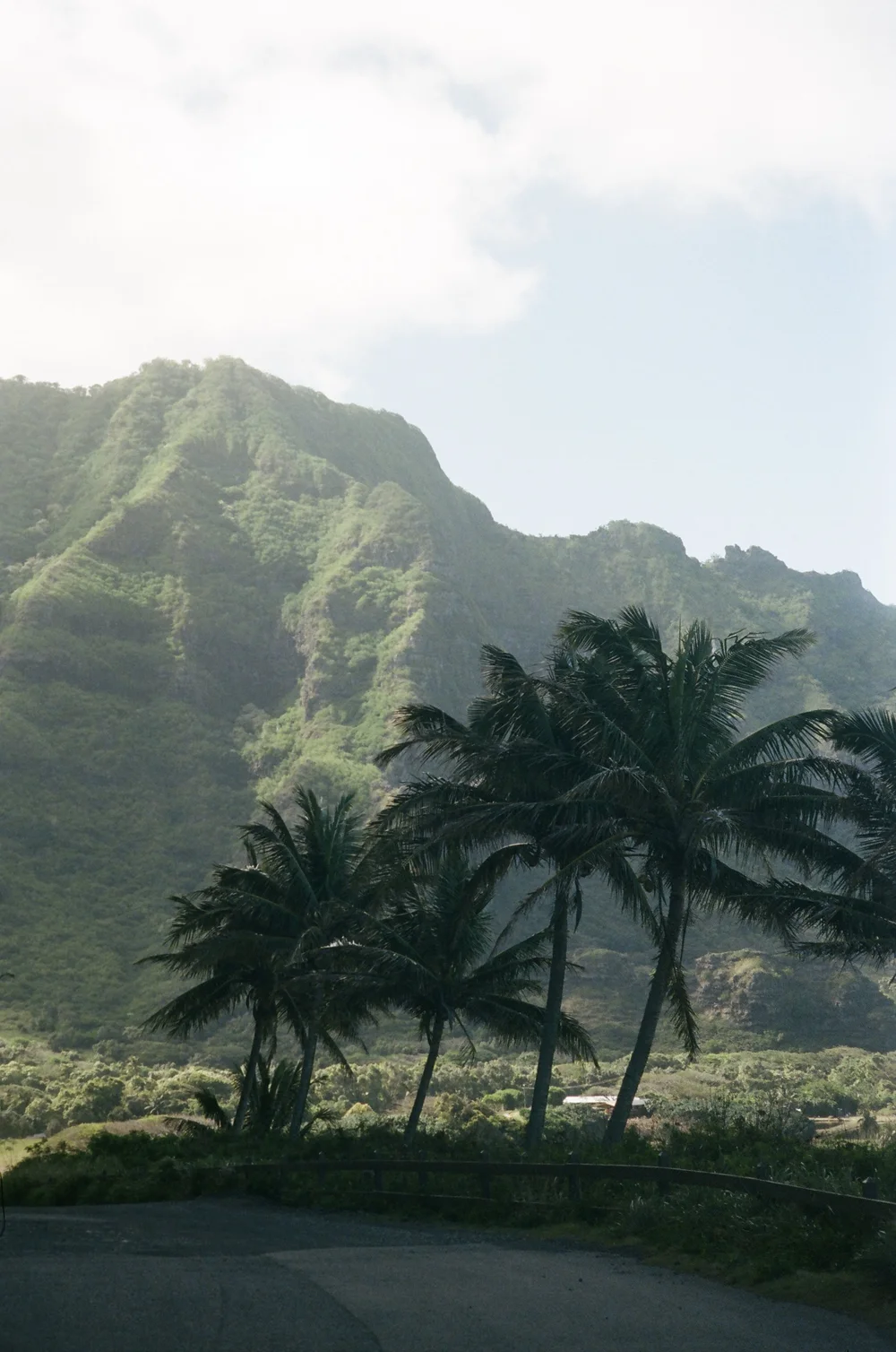 Taylor Hayden. Brand Content Creator. San Diego, CA