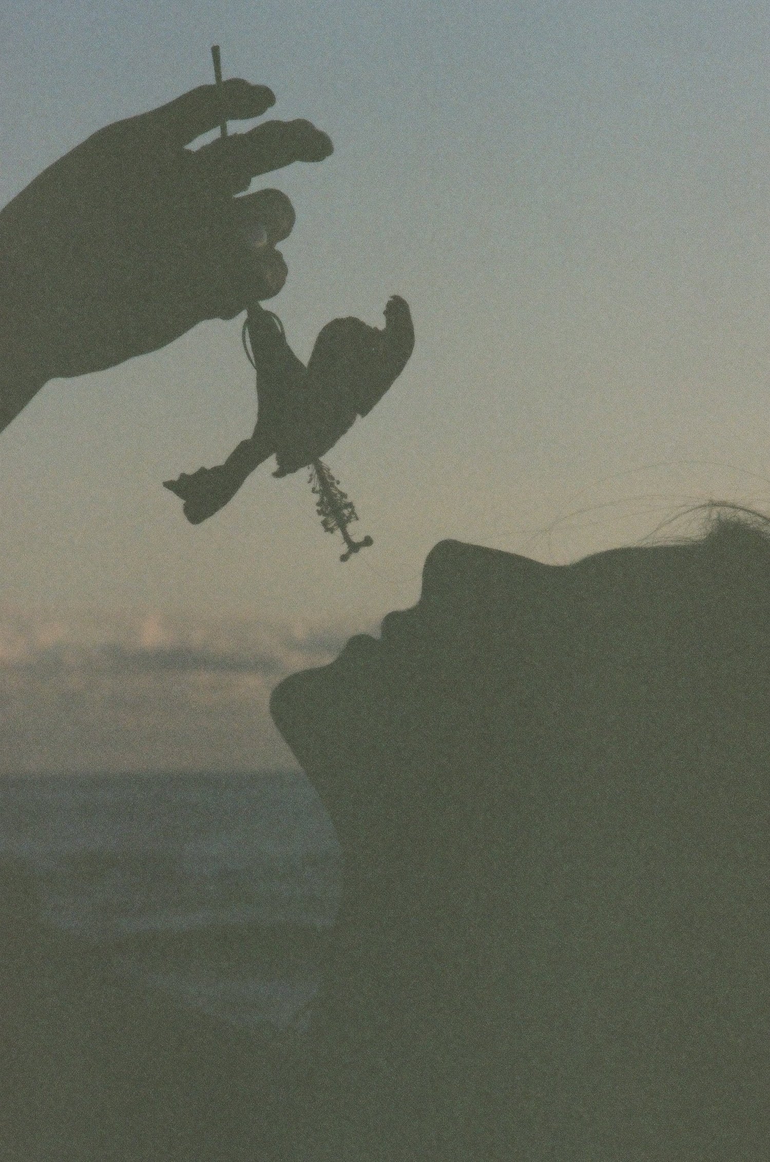 Taylor Hayden. Brand Content Creator. San Diego, CA