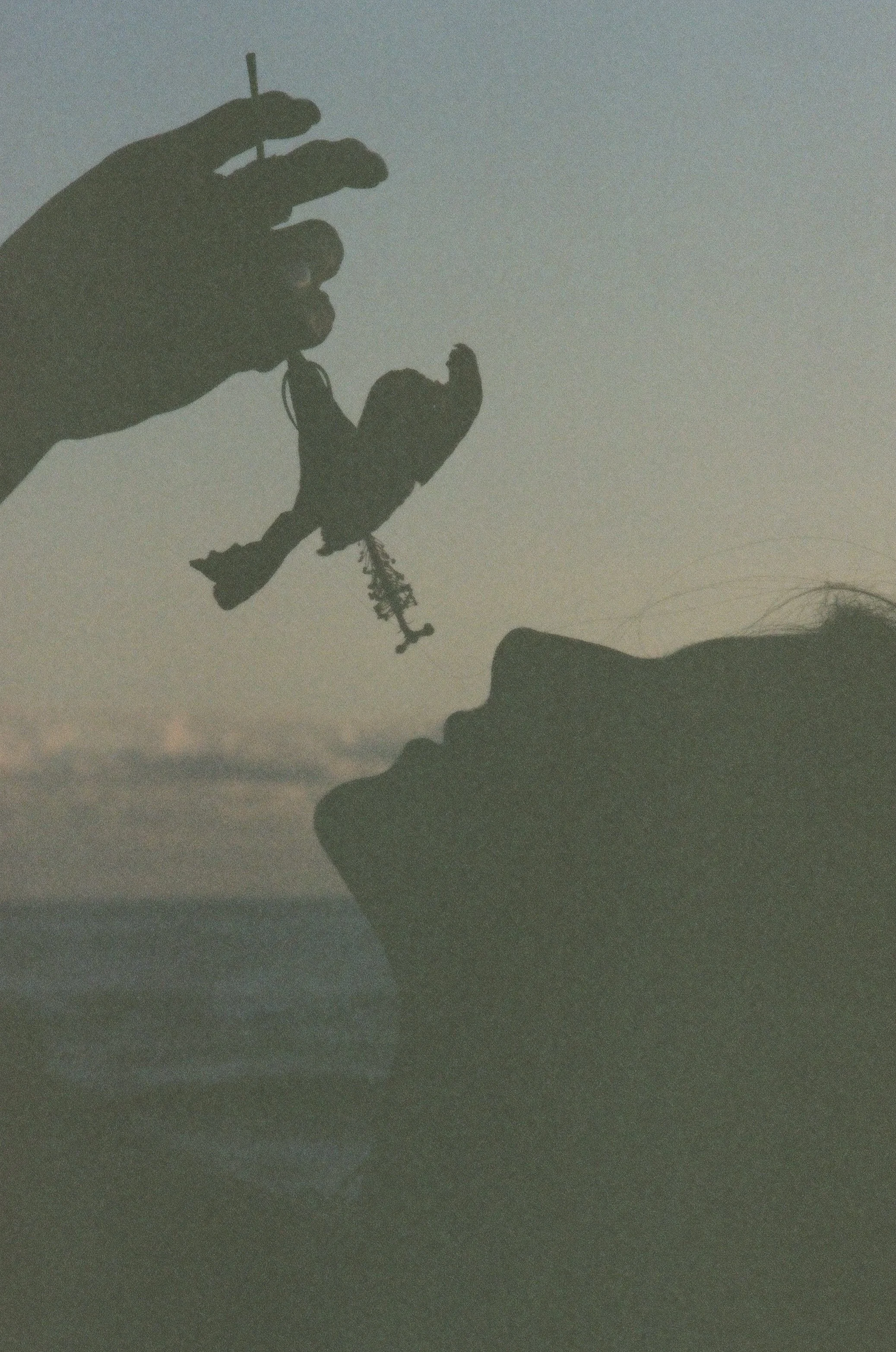 Taylor Hayden. Brand Content Creator. San Diego, CA