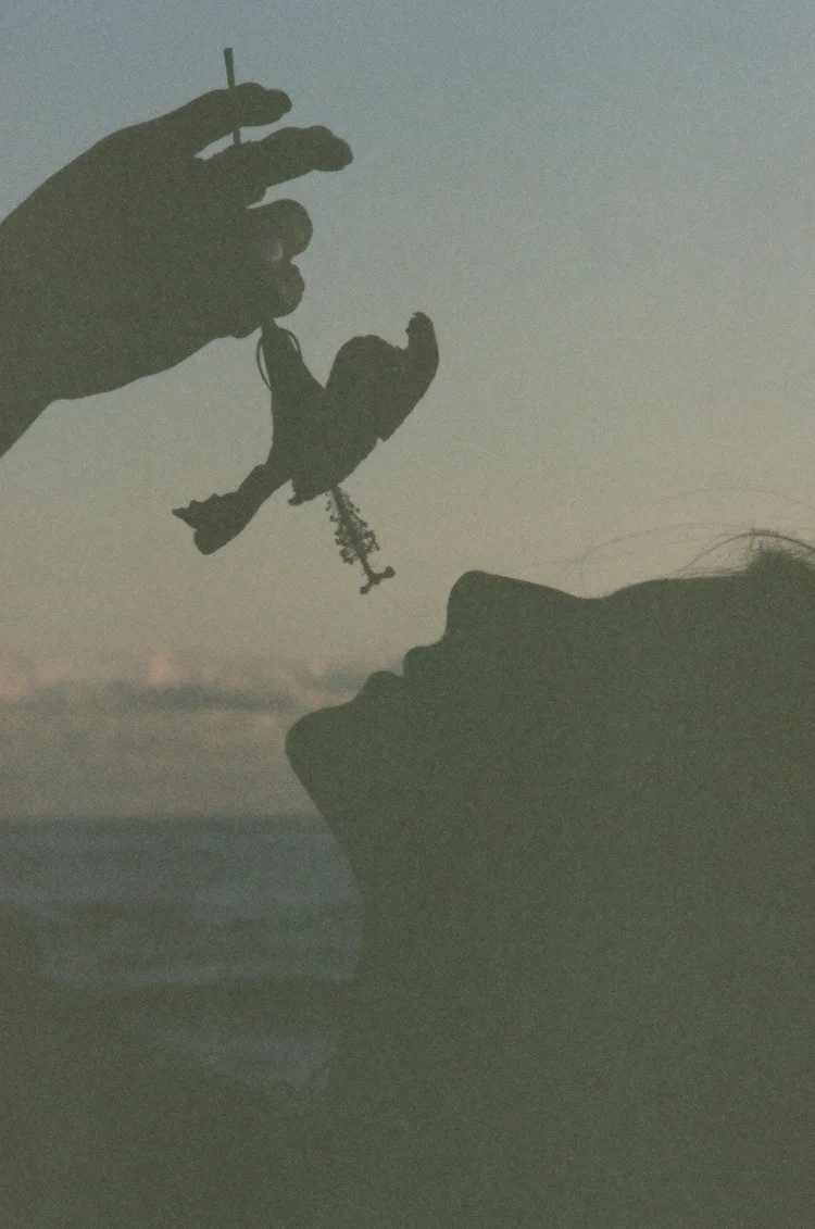 Taylor Hayden. Brand Content Creator. San Diego, CA