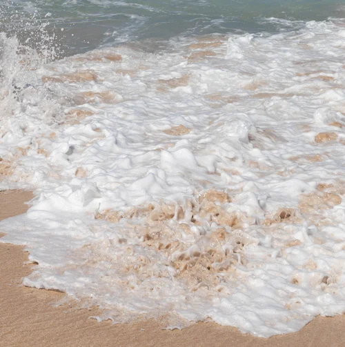 Taylor Hayden. Brand Content Creator. San Diego, CA