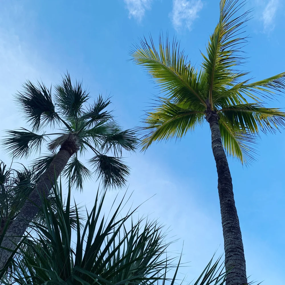 ABOUT STOKE — Stoke Design Company