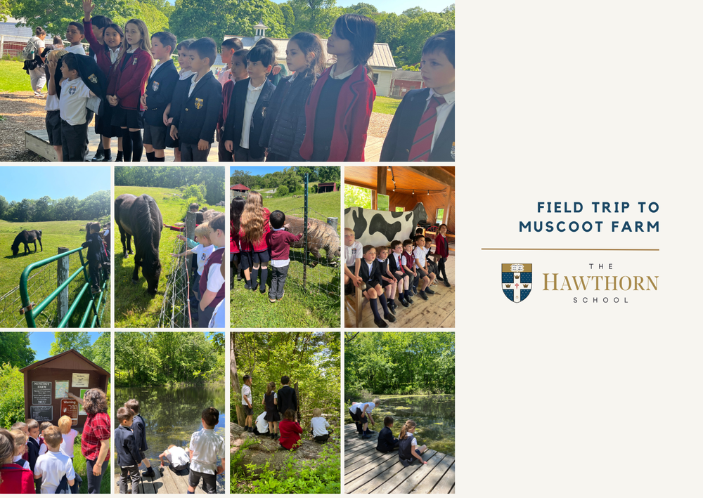 Field trip to Muscoot Farm — The Hawthorn School