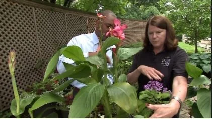 The Barn — Northwind Perennial Farm