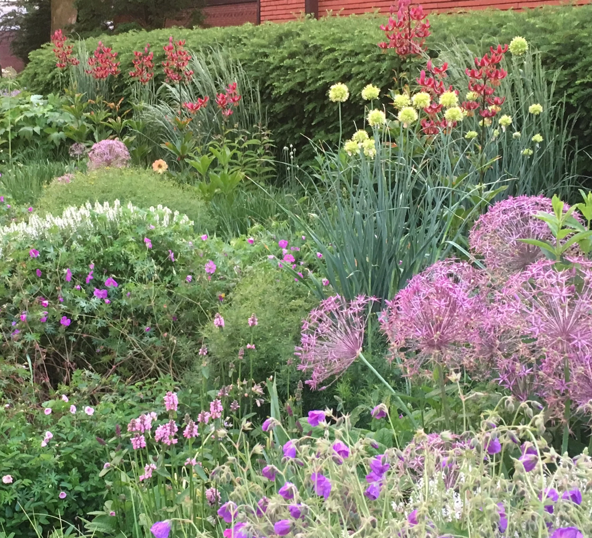 Residential Plantings Gallery — Northwind Perennial Farm