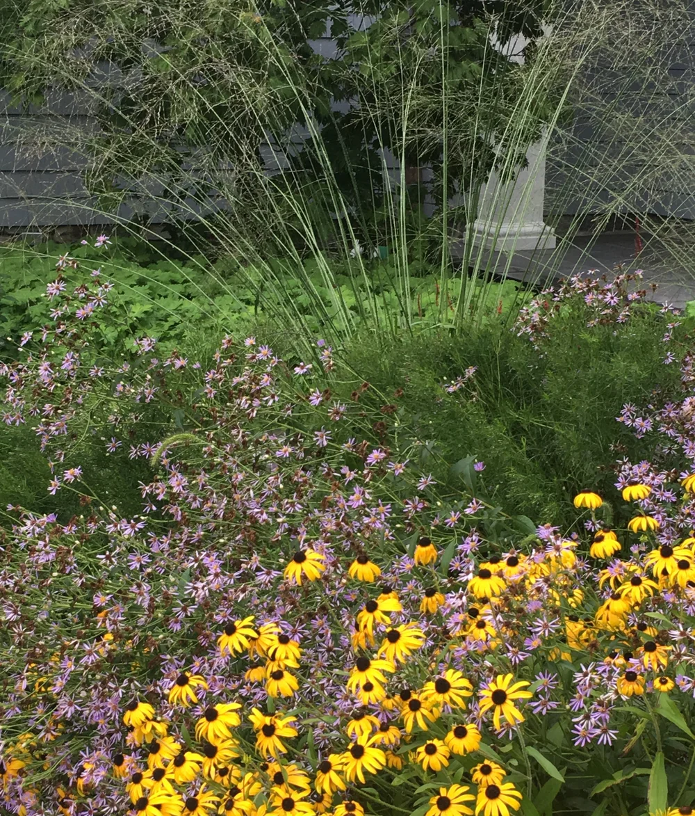 Residential Plantings Gallery — Northwind Perennial Farm