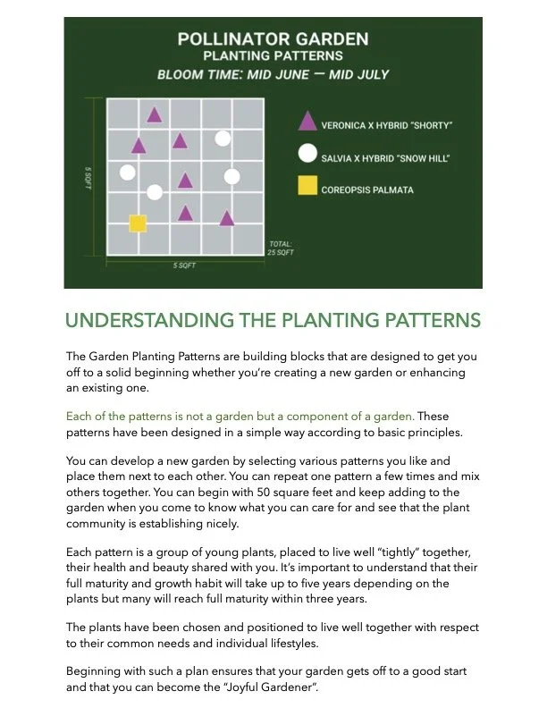 Understanding the Plant Patterns — Northwind Perennial Farm