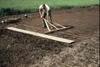 Roy Diblik — Northwind Perennial Farm