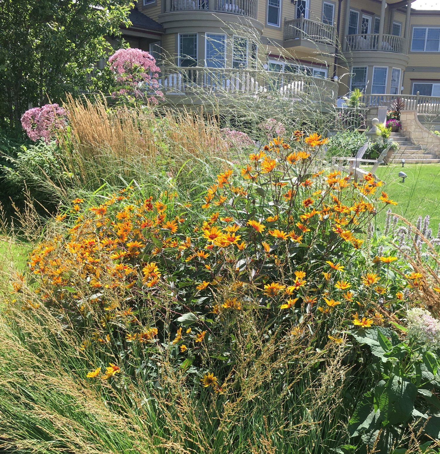 Residential Plantings Gallery — Northwind Perennial Farm