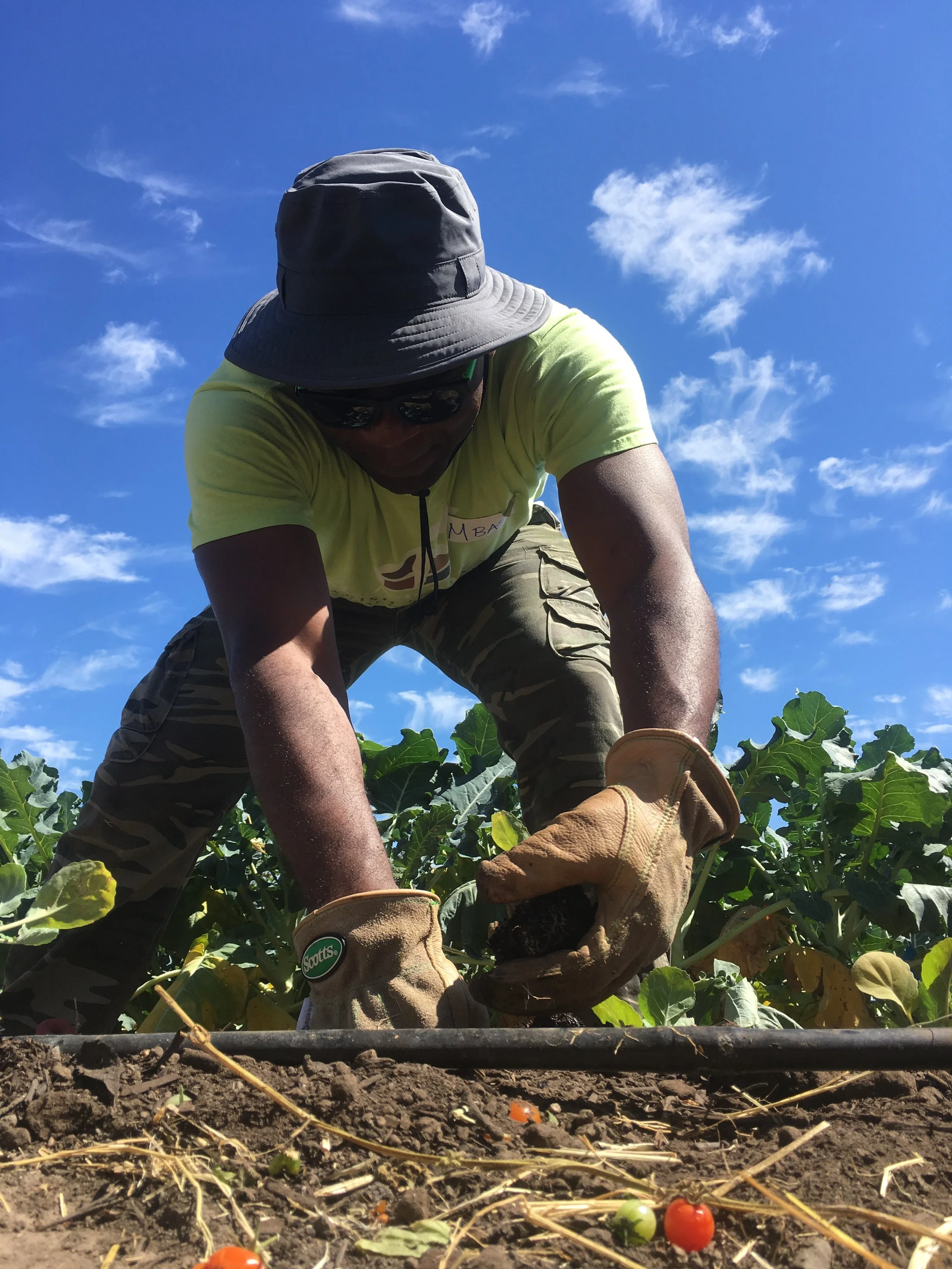 Learn | Enhance Farming Skills Today — Singing Frogs Farm