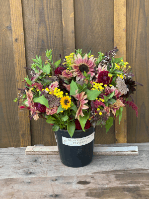 Flowers — Singing Frogs Farm