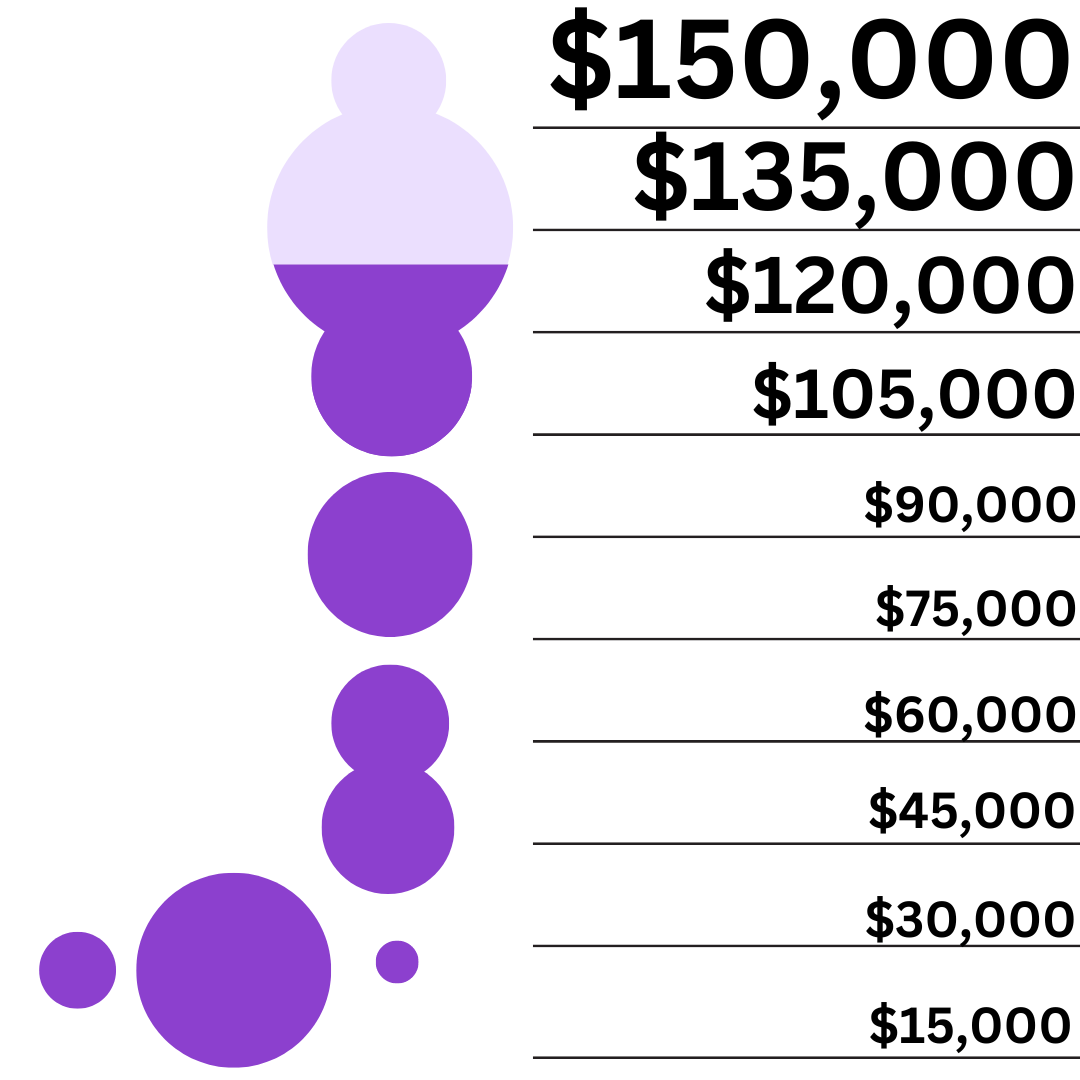 Capstone Campaign — Jacaranda Media
