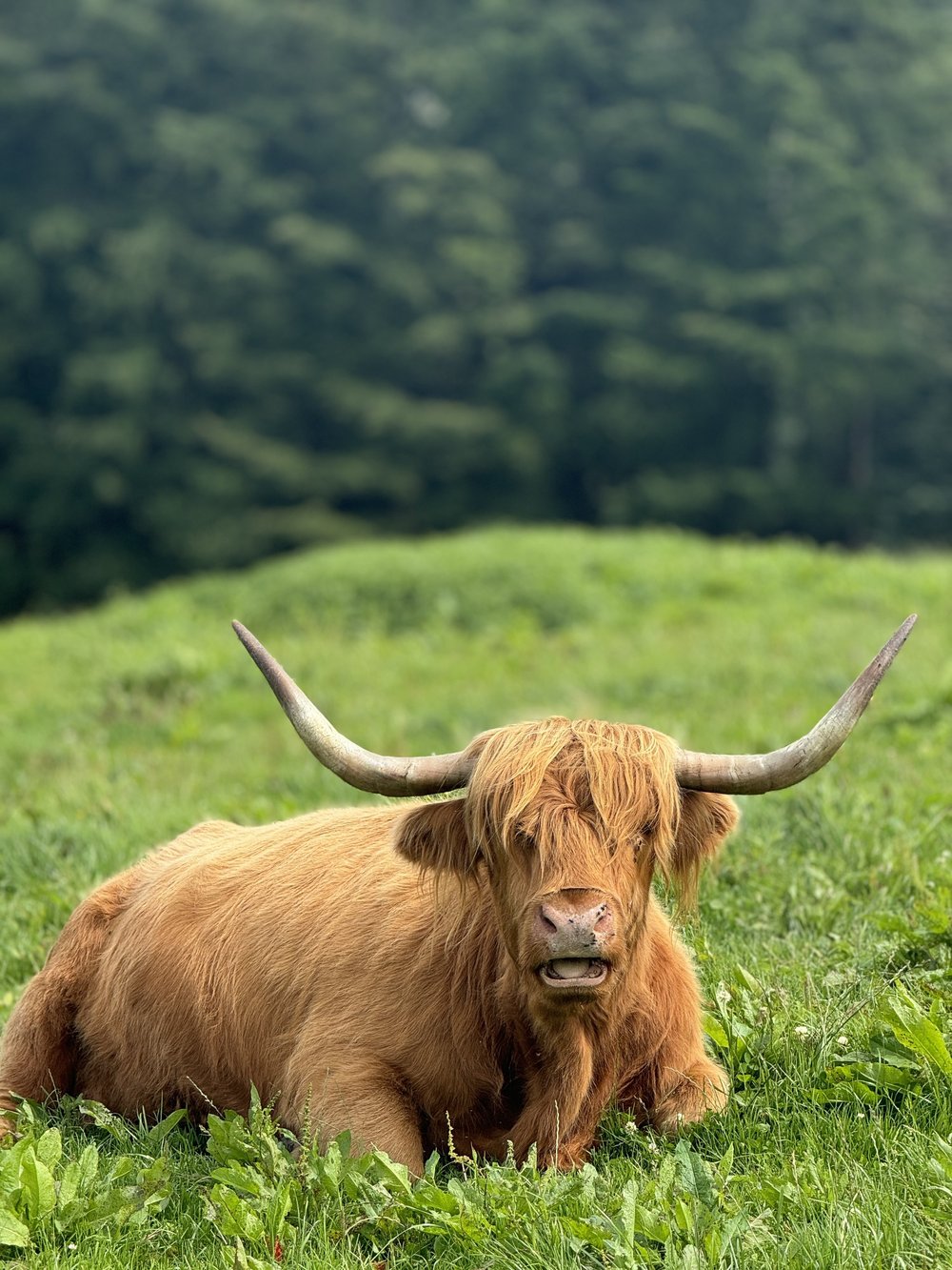 10 Unforgettable Things to Do in Speyside, Scotland: Distilleries ...