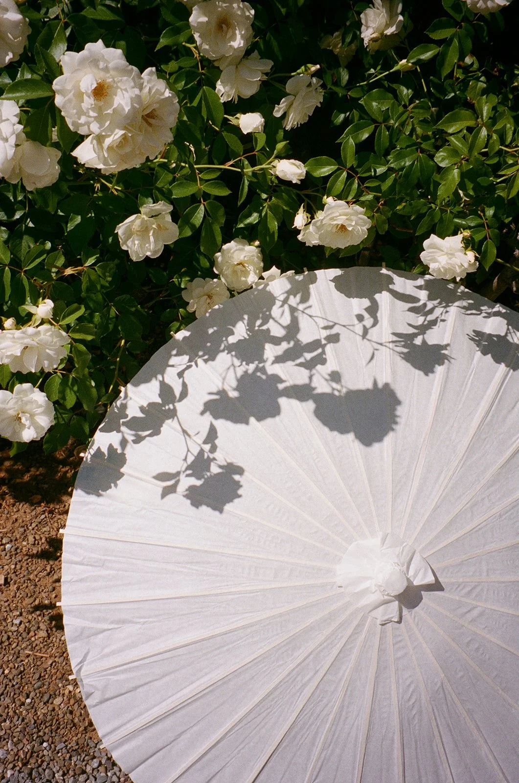 Laura Powers | Luxury Destination Wedding Photographer