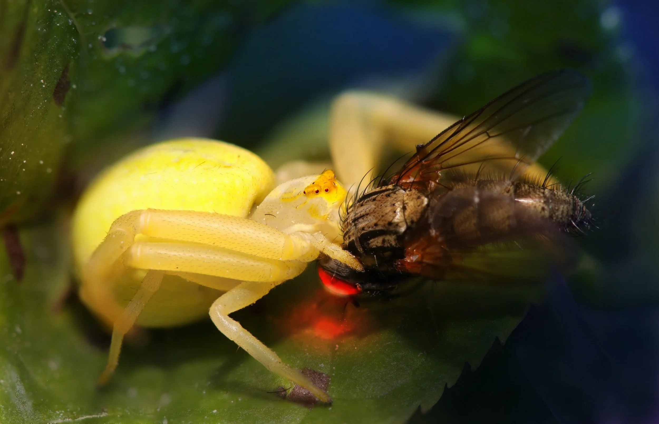 KS3 Tropical Rainforests | Learn, Explore, Conserve Today — GeogOn
