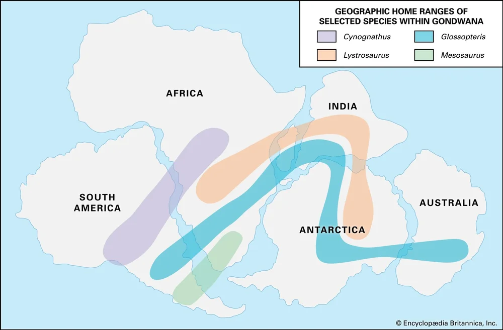 KS3 Plate Tectonics | Learn About Plate Movements Today — GeogOn