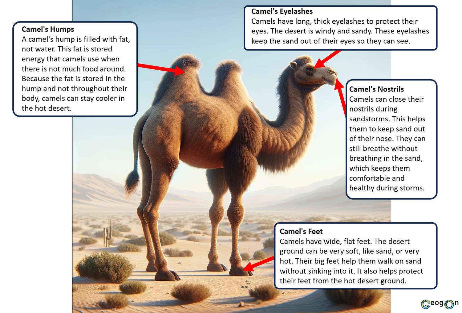 KS3 Middle East | Enhance Learning Today — GeogOn