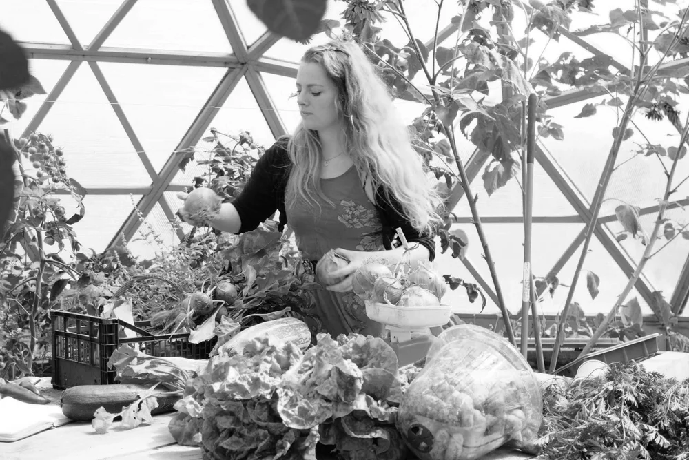 Meet the Team — The Common Knowledge Centre