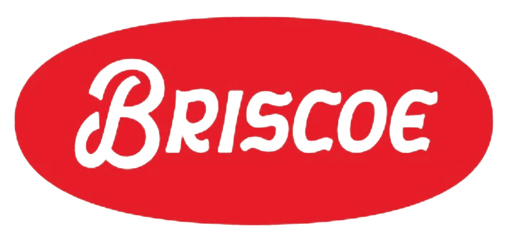 On Tour — Briscoe The Band