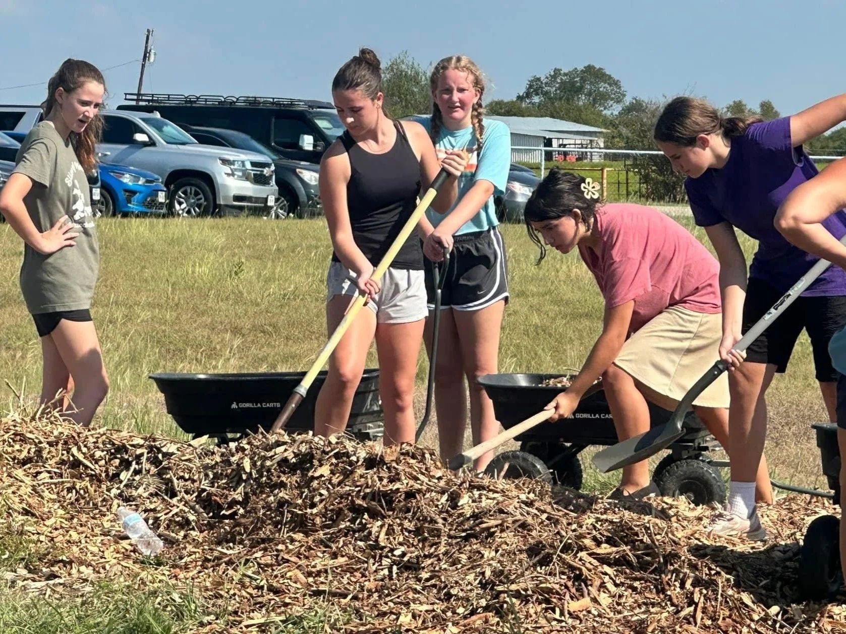 Elizabeth Farm — FMS