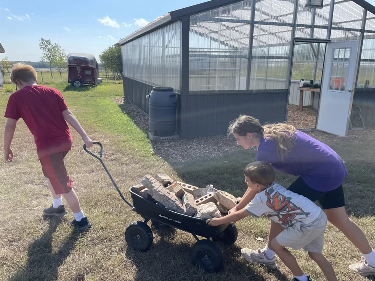 Elizabeth Farm — FMS