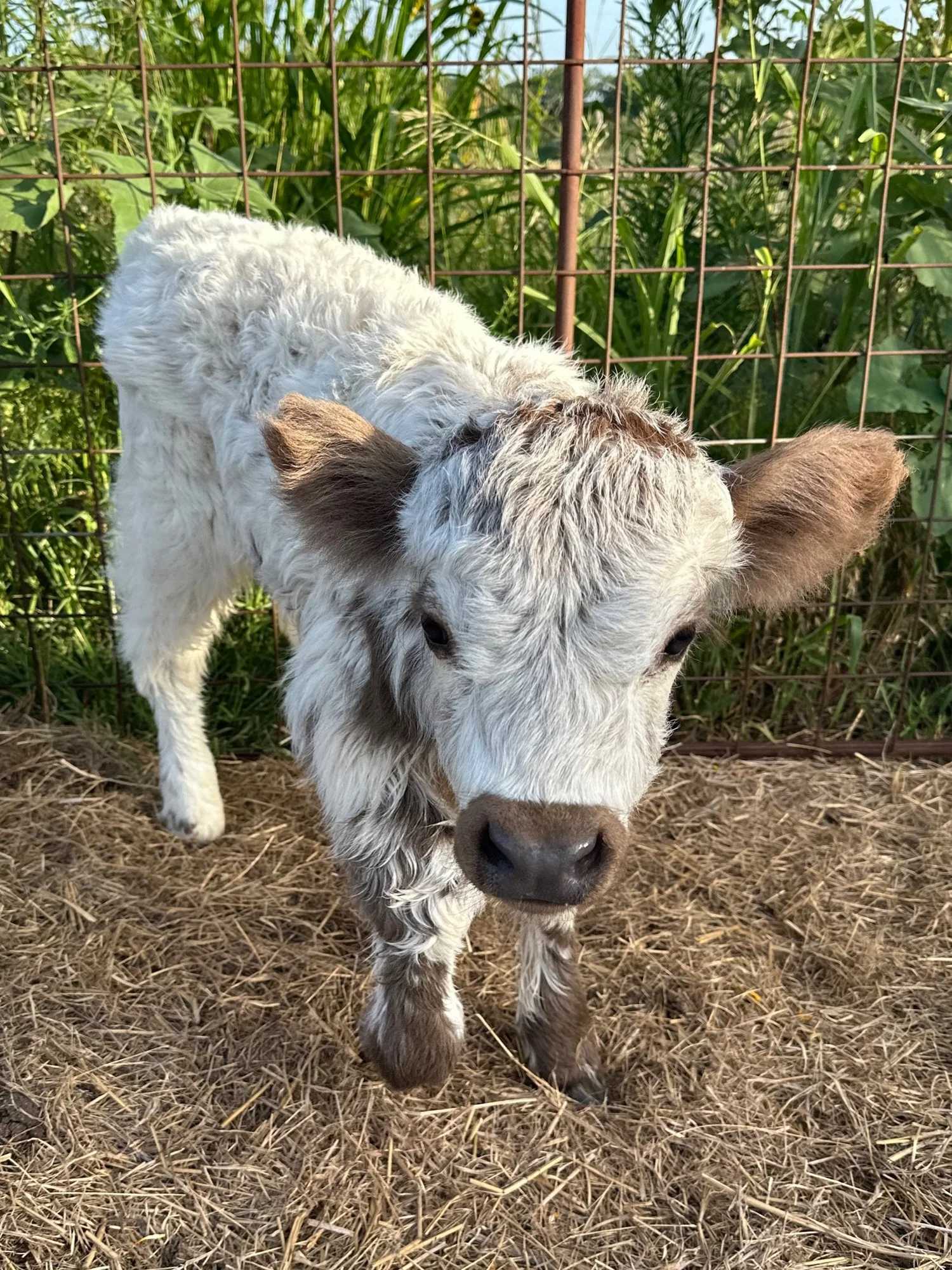 Visits and Events — Pearly Ranch