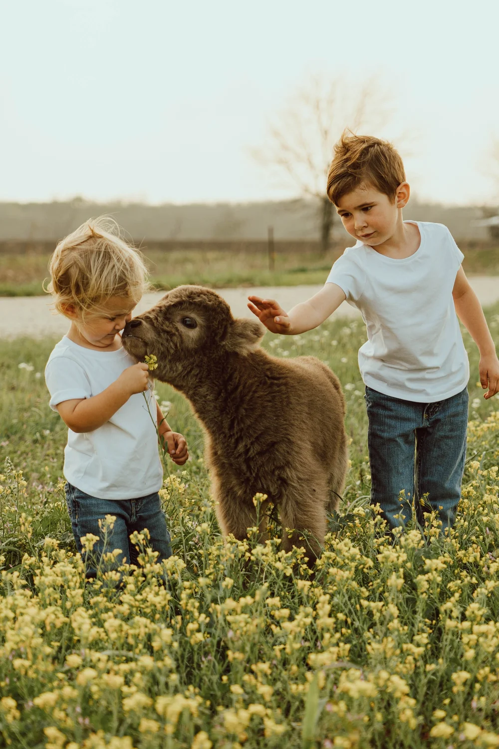 Rentals — Pearly Ranch