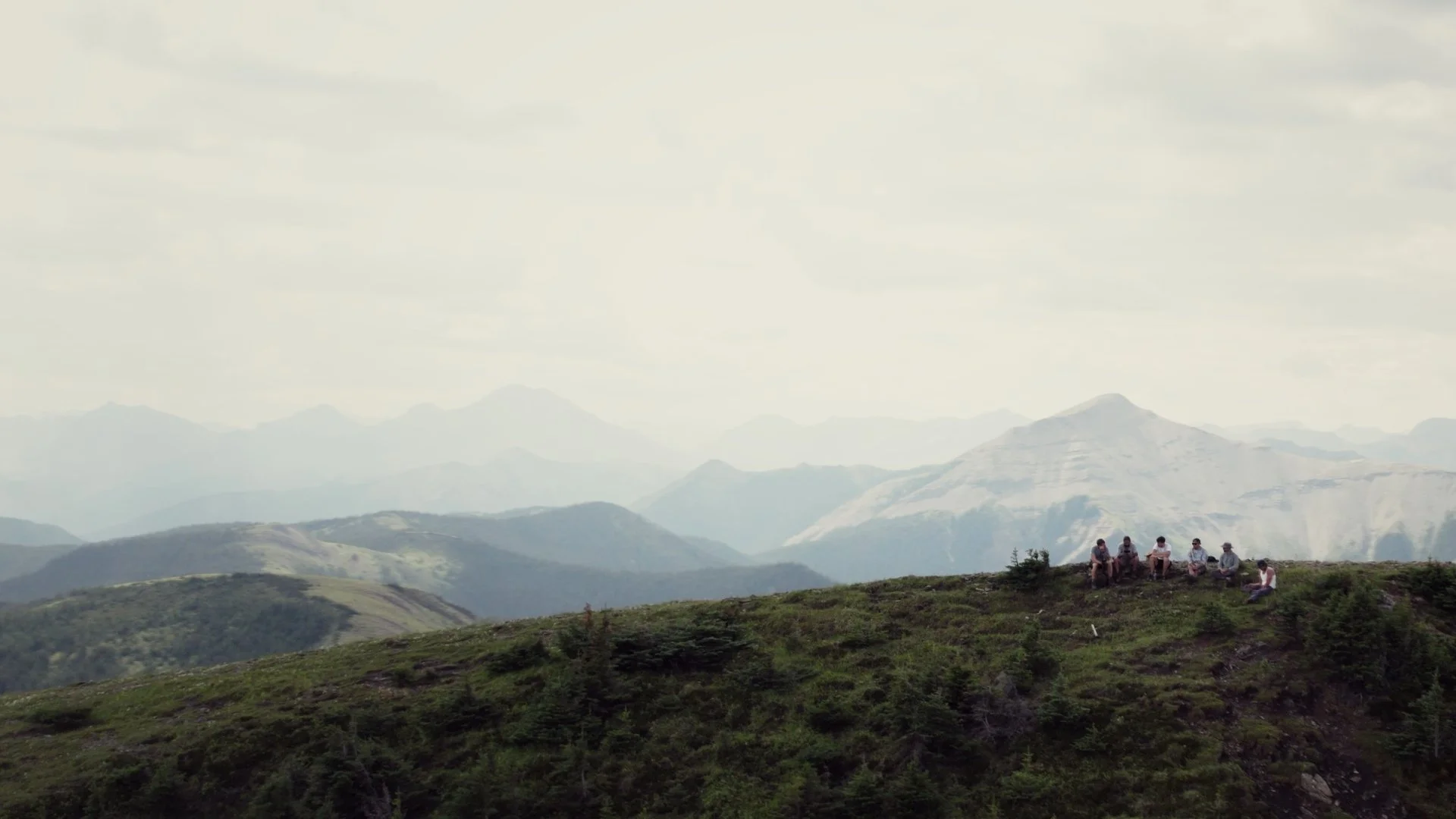 Gallery — Northaven