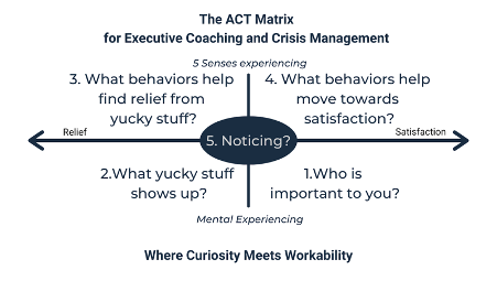 ACT for Mental Health in the Workplace — Julie Allen Consulting