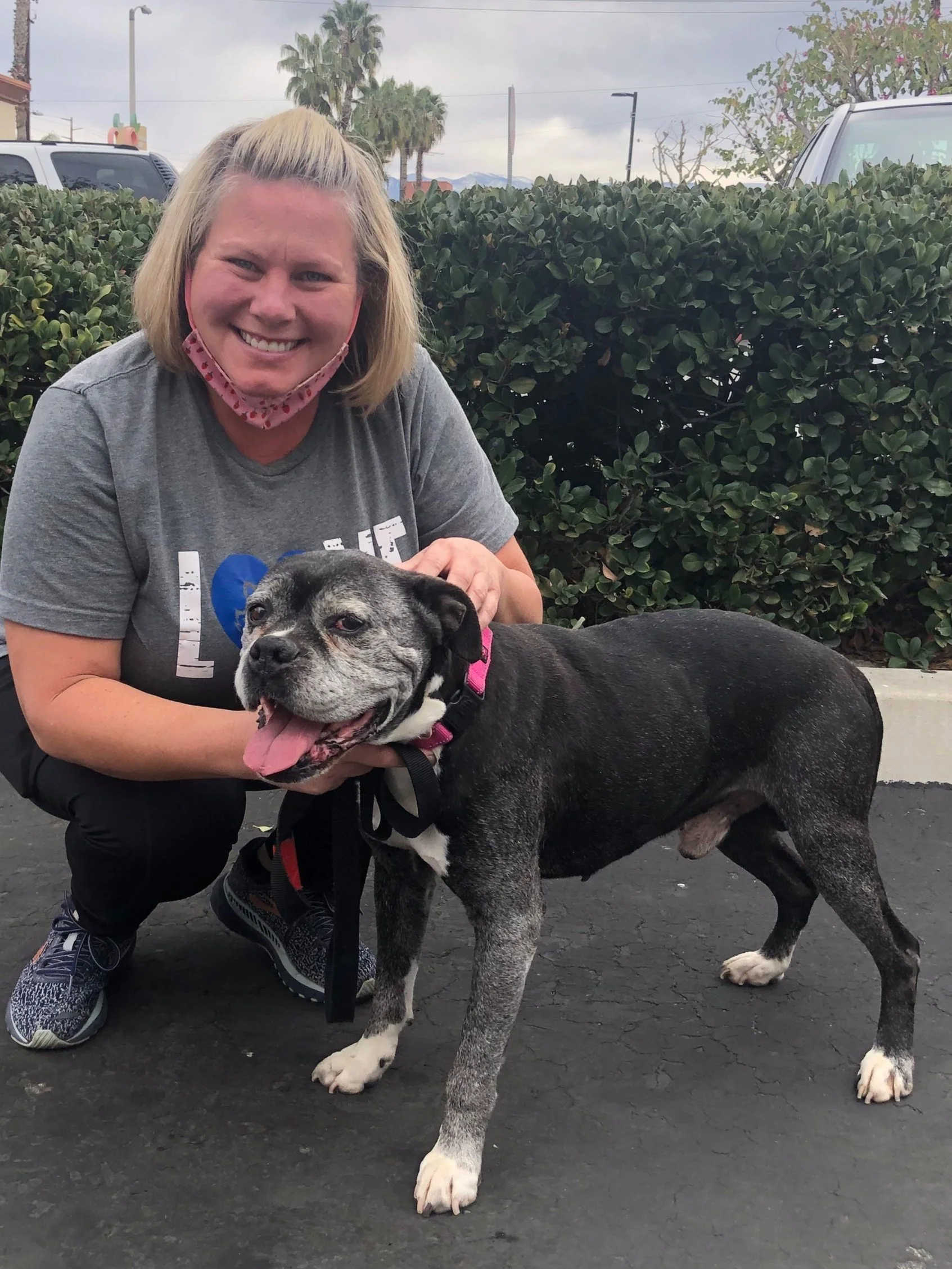 Adopt A Boxer — West Coast Boxer Rescue